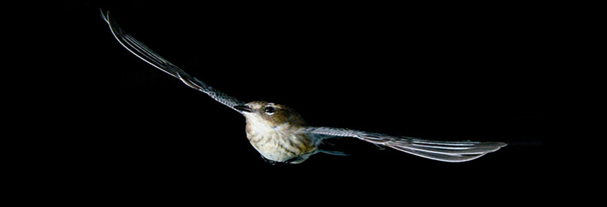 News and Events - Department of Biology - Western University