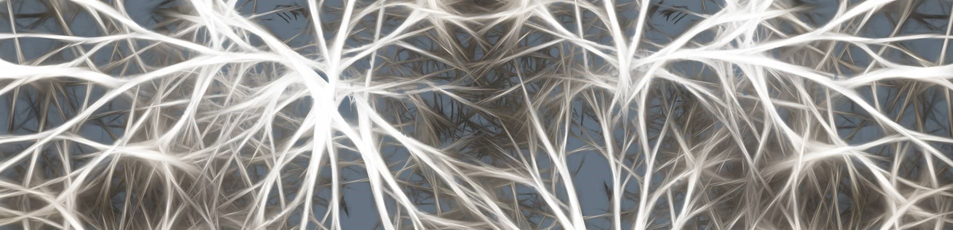 Western Centre for Brain and Mind - Western University