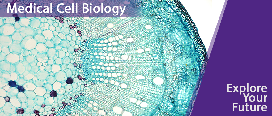 Medical Cell Biology - Medical Cell Biology - Western University