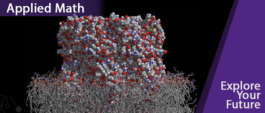 Applied Mathematics - Applied Mathematics - Western University